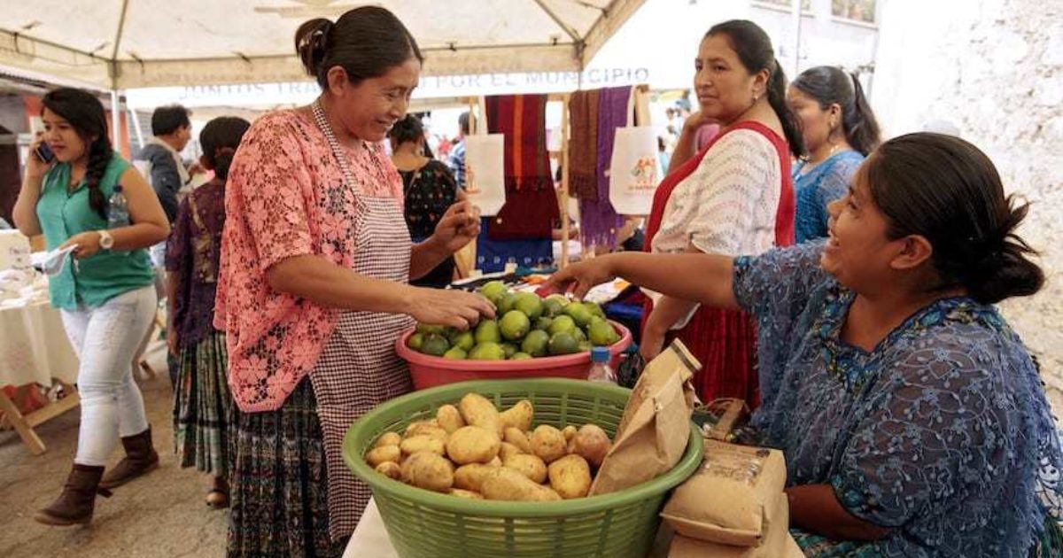 Insights from 10 Years of Boosting Gender Inclusion… | Value for Women